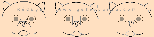 TIPOS DE GATOS PERSAS, NARIZ, CABEZA, PERFIL, OJOS Y OREJAS ...
