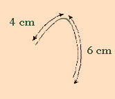 TIPOS DE GATOS PERSAS, NARIZ, CABEZA, PERFIL, OJOS Y OREJAS ...